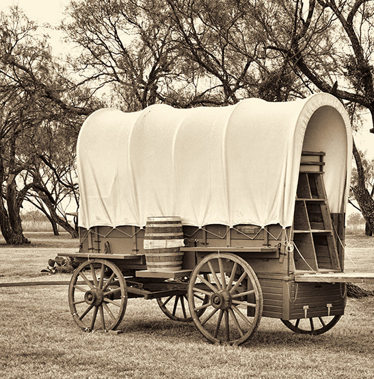 The History of Albert Icehouse & Dancehall – Albert Dancehall